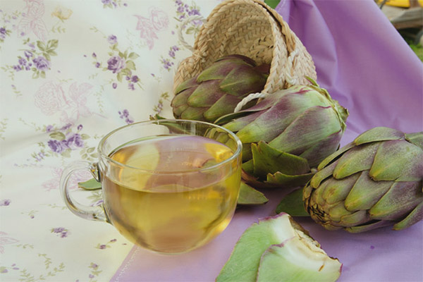 Té de alcachofa, beneficios – Plantas y Jardines